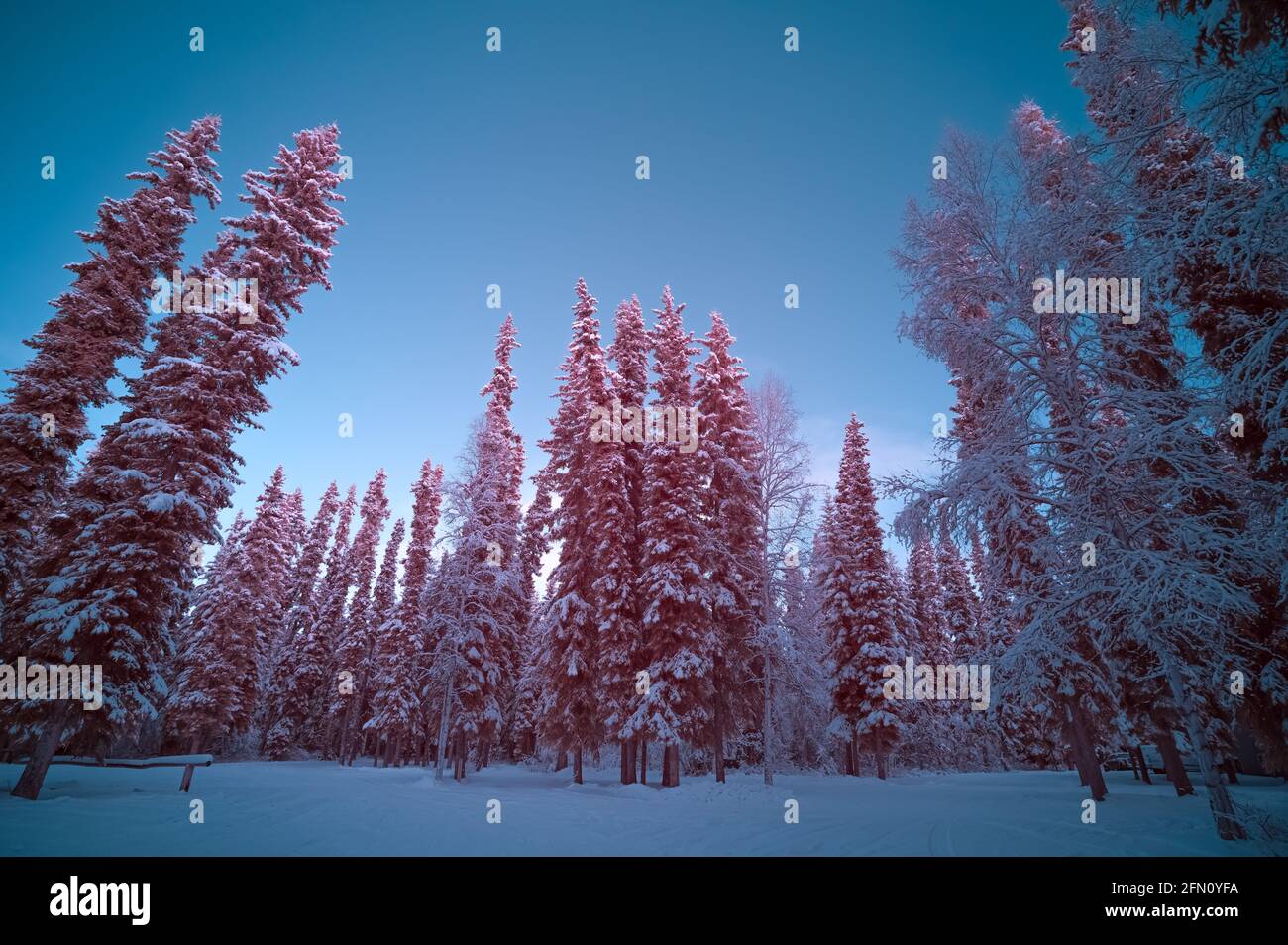 Beyond visible light hi-res stock photography and images - Alamy