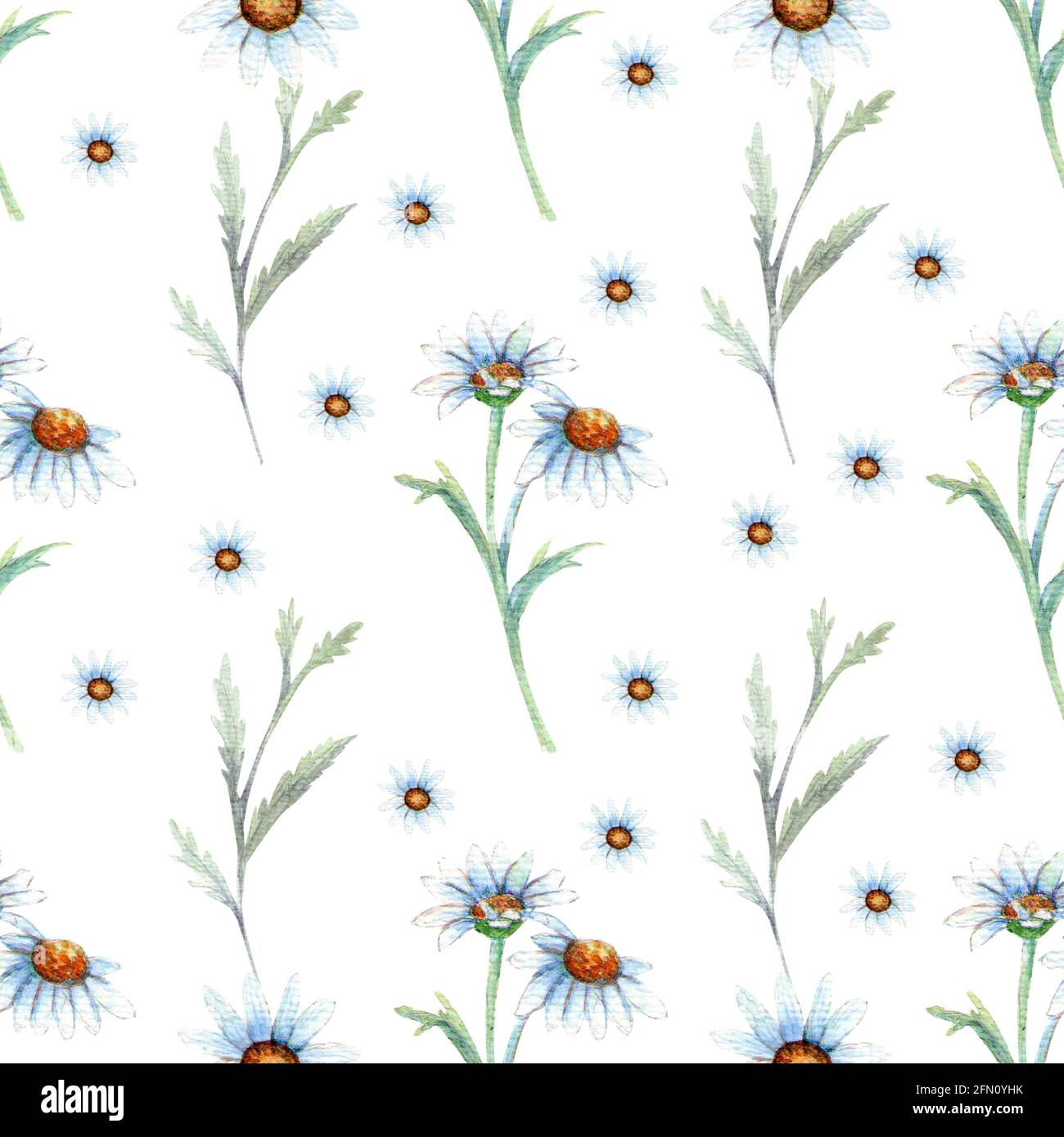 Seamless pattern with wildflowers and leaves on white background ...