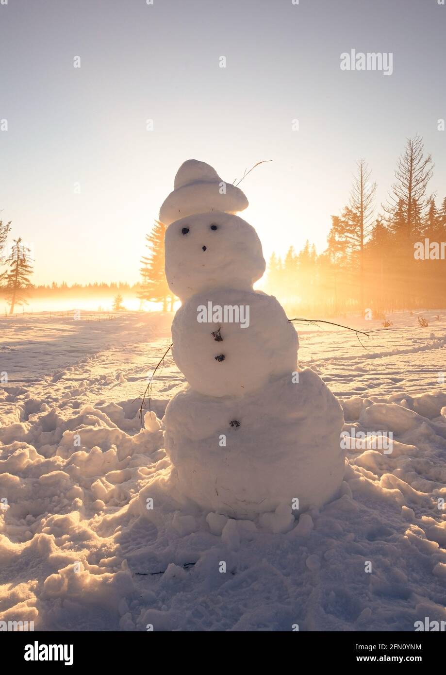 Cold snowman hi-res stock photography and images - Alamy