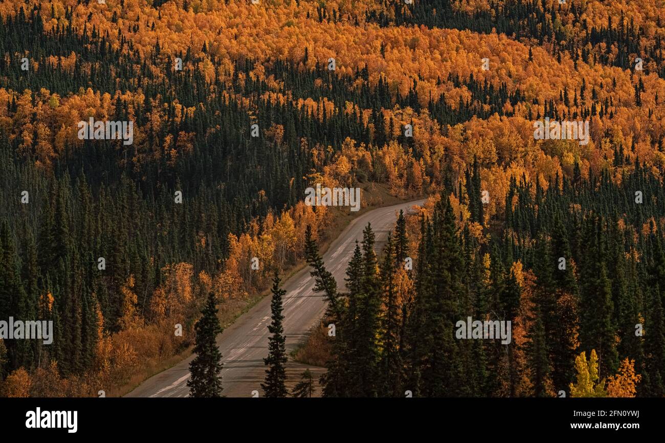 Autumn colors in Alaska! Stock Photo - Alamy