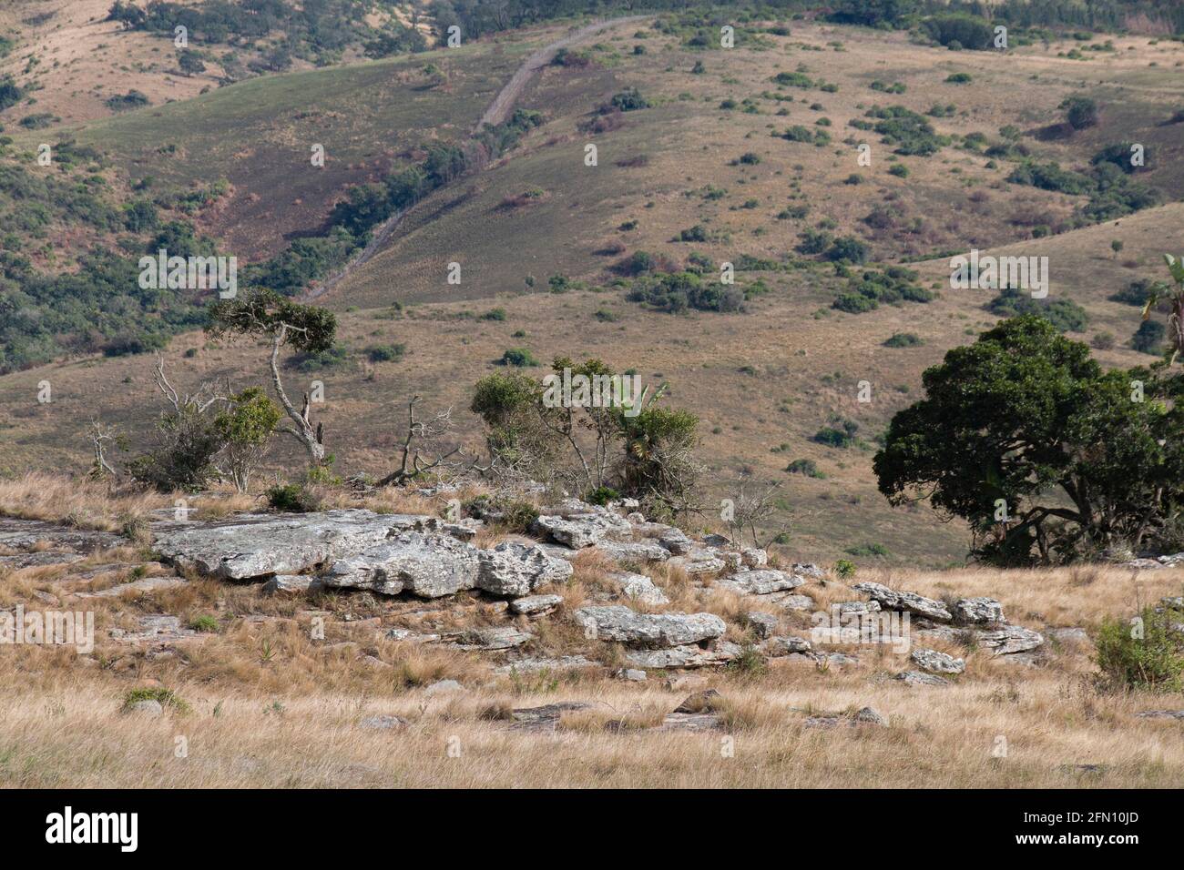 Bushveld rock hi-res stock photography and images - Alamy