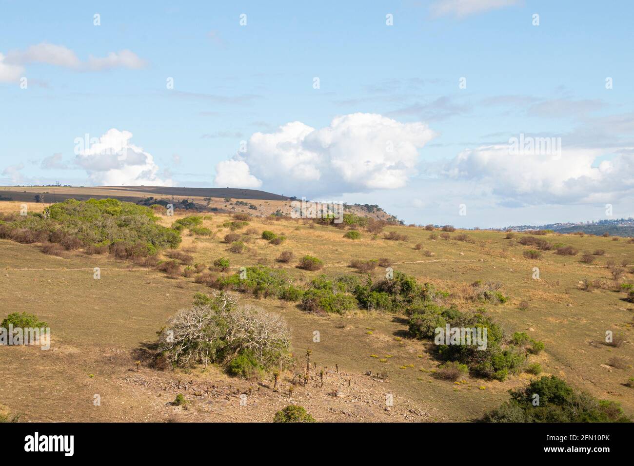 View of south african bushveld into the valley below Stock Photo - Alamy