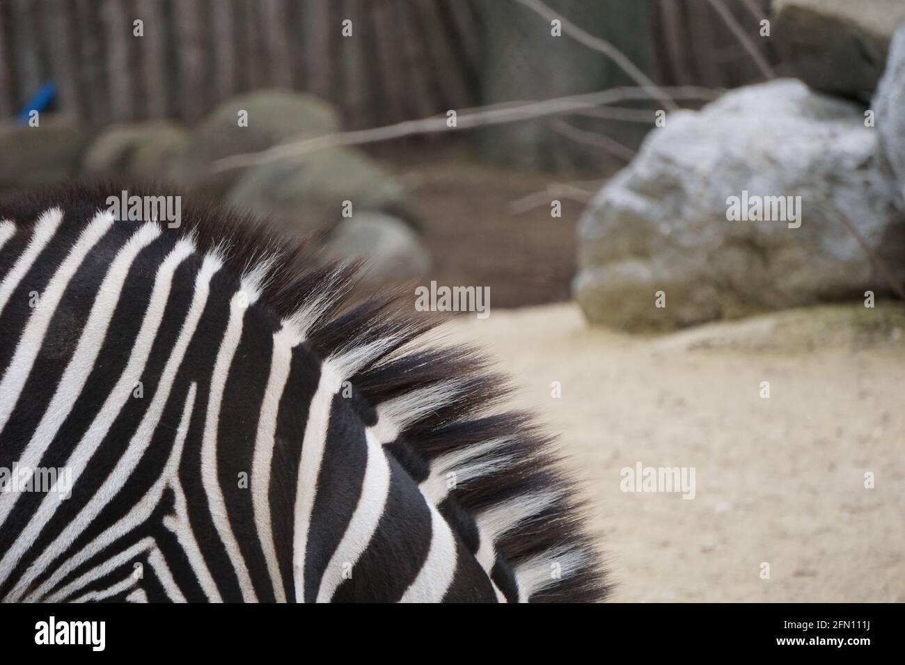 Plain horizontal stripes hi-res stock photography and images - Alamy