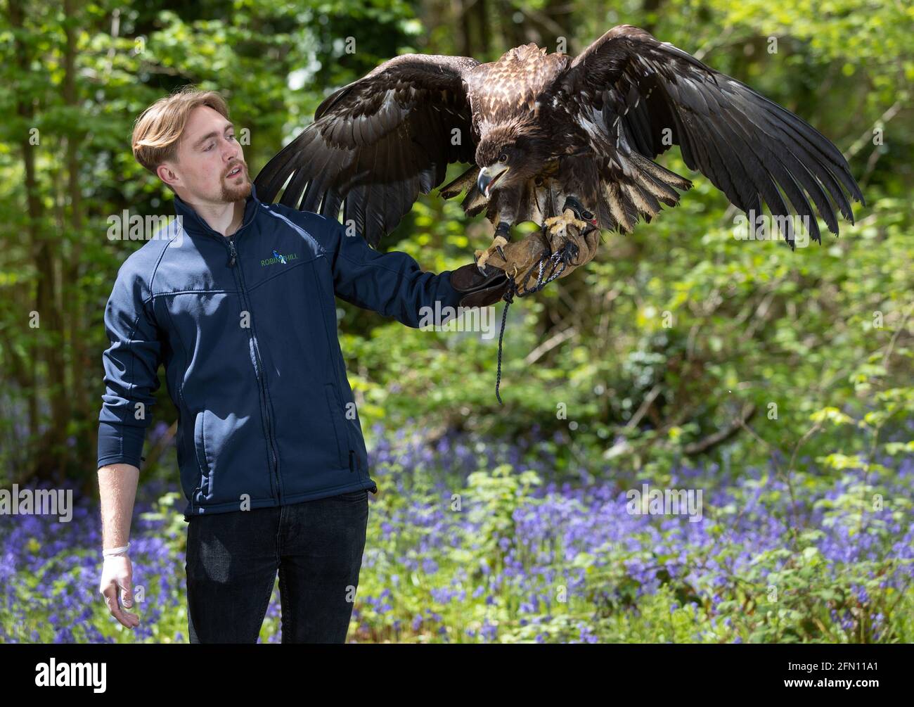 Charlie falconer hi-res stock photography and images - Alamy