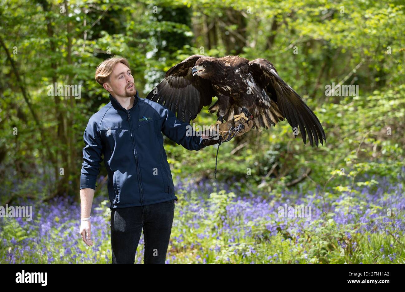 Falconer Charlie Rolle holds Chief, a 10-month-old white-tailed sea ...