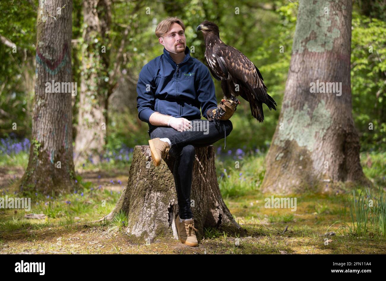 Falconer Charlie Rolle holds Chief, a 10-month-old white-tailed sea ...