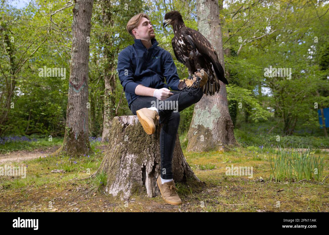 Charlie falconer hi-res stock photography and images - Alamy