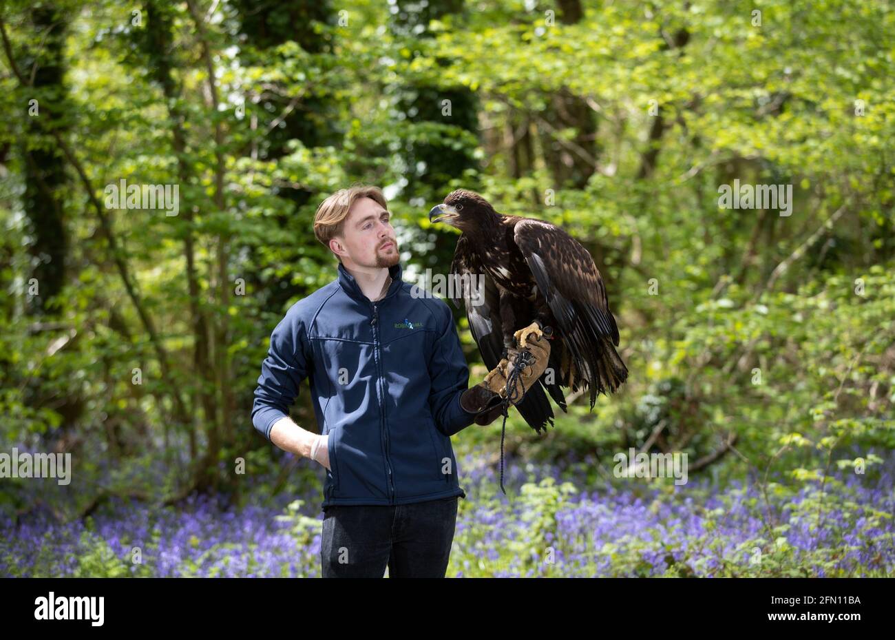 Charlie falconer hi-res stock photography and images - Alamy