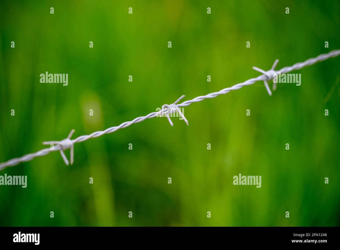 Barbed wire fence isolated on a green background Stock Photo - Alamy