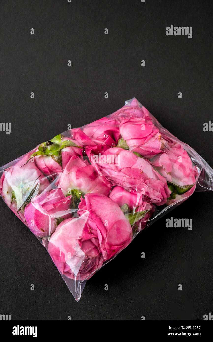 Environmental Pollution Flower High Resolution Stock Photography and ...