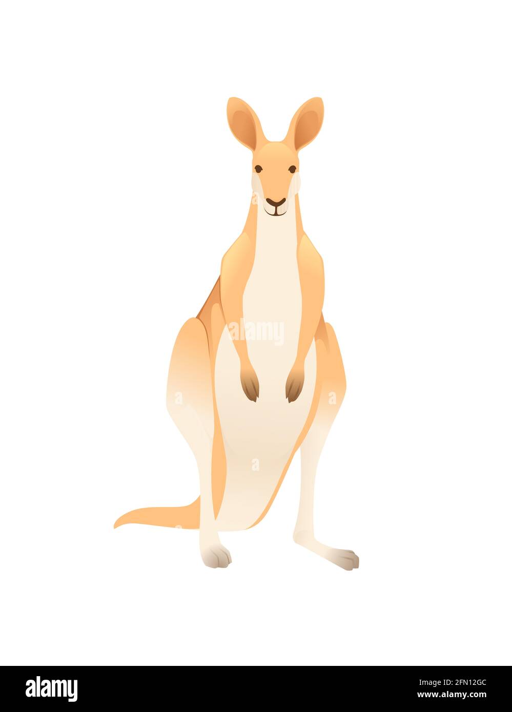 Cute adult kangaroo australian animal cartoon animal design vector ...