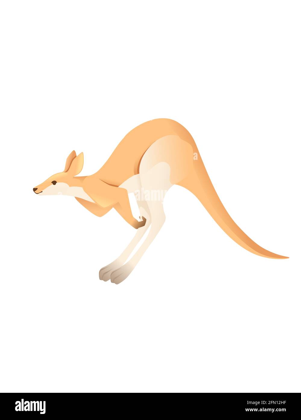 Cute adult jumping kangaroo australian animal cartoon animal design ...