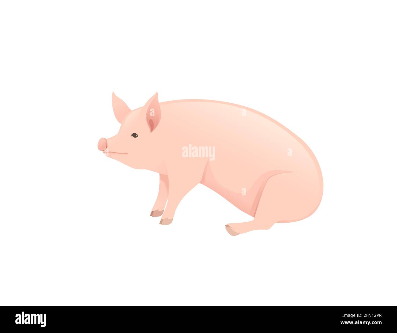 Cute adult pig farm animal cartoon animal design vector illustration ...