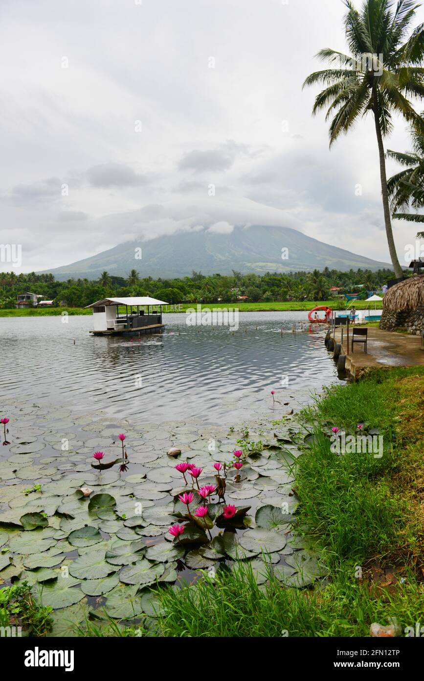The Mayon volcano covered with a beautiful cloud Stock Photo - Alamy