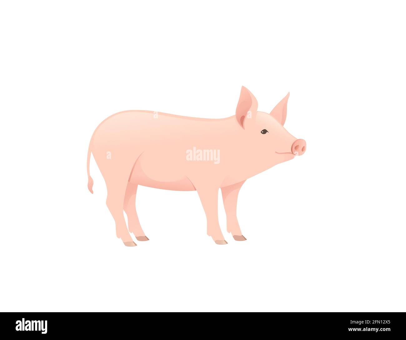 Cute adult pig farm animal cartoon animal design vector illustration ...