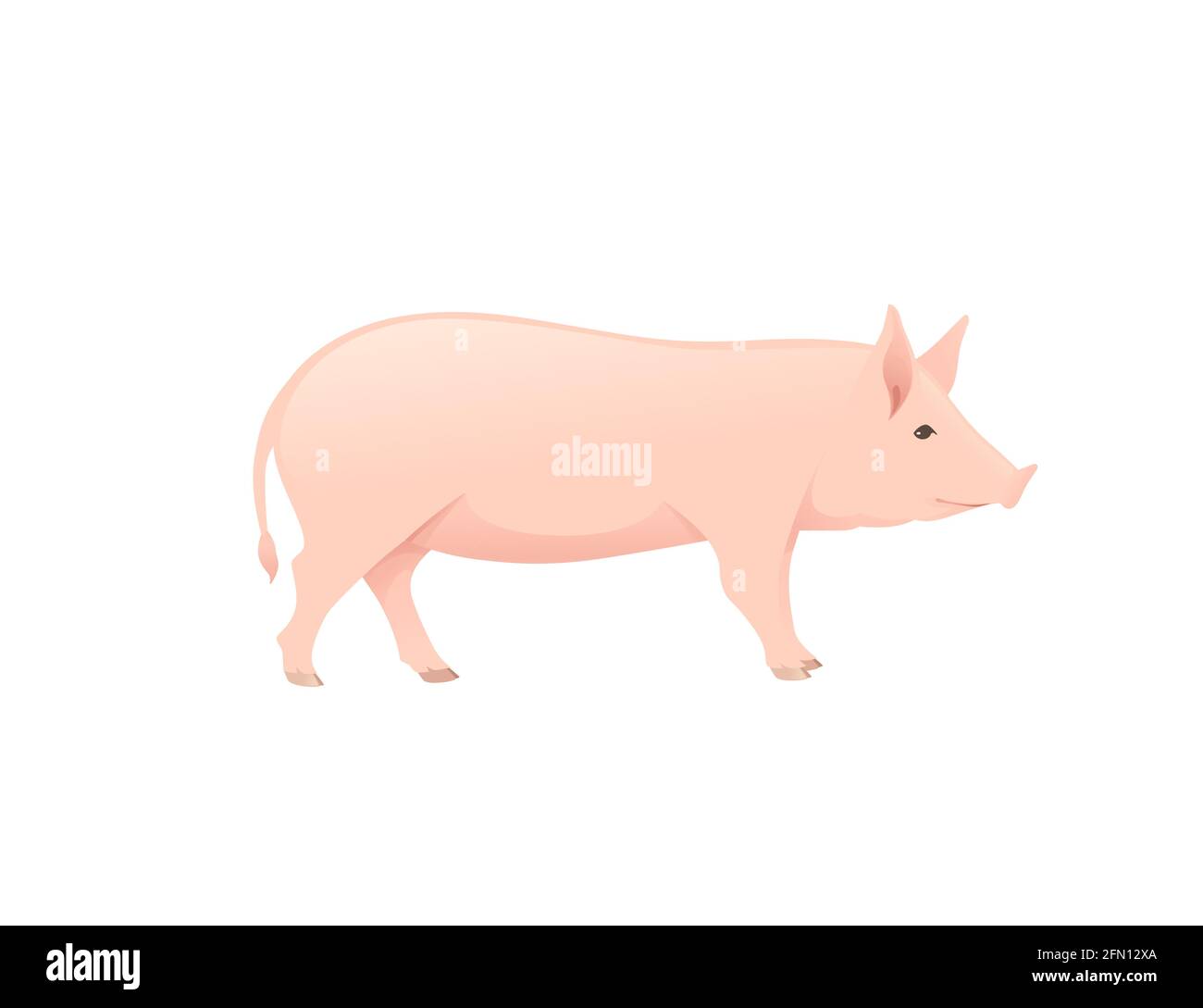 Cute adult pig farm animal cartoon animal design vector illustration ...