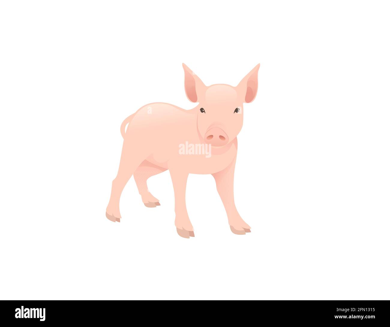 Cute adult pig farm animal cartoon animal design vector illustration ...
