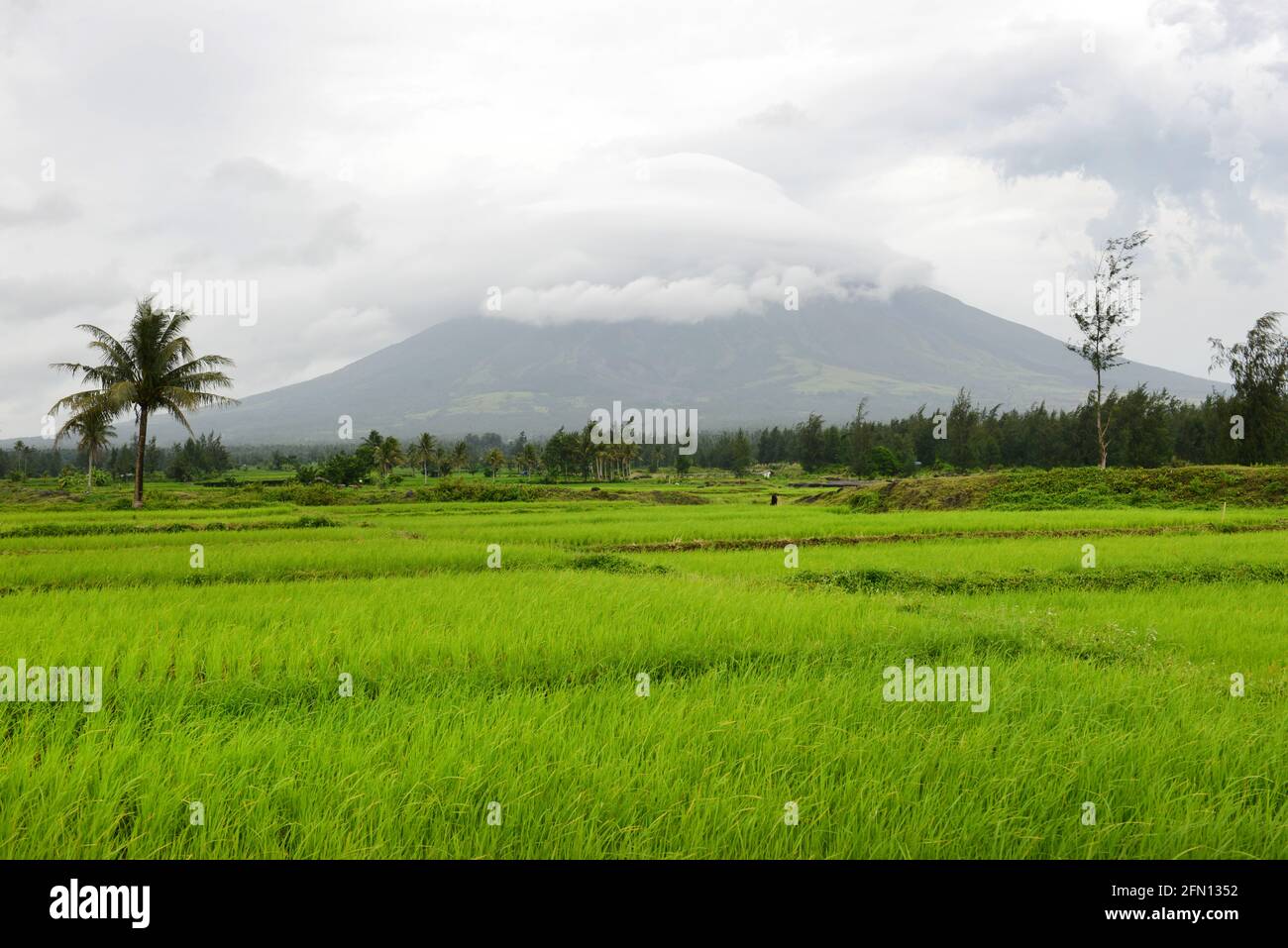 The Mayon volcano covered with a beautiful cloud Stock Photo - Alamy