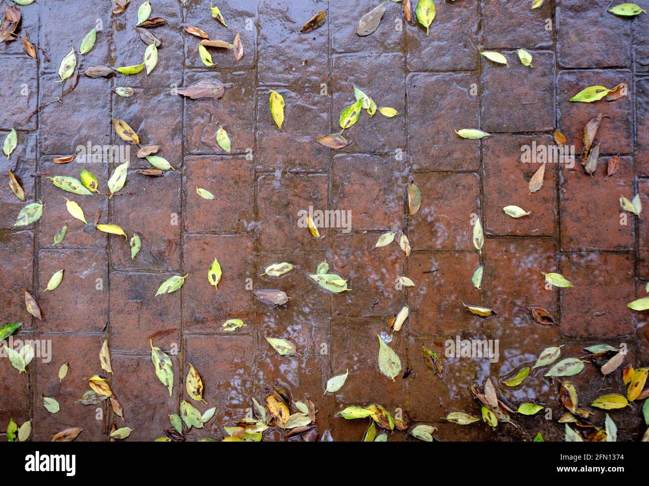 stamped concrete pavement, slate stone tile on cement stones pattern ...