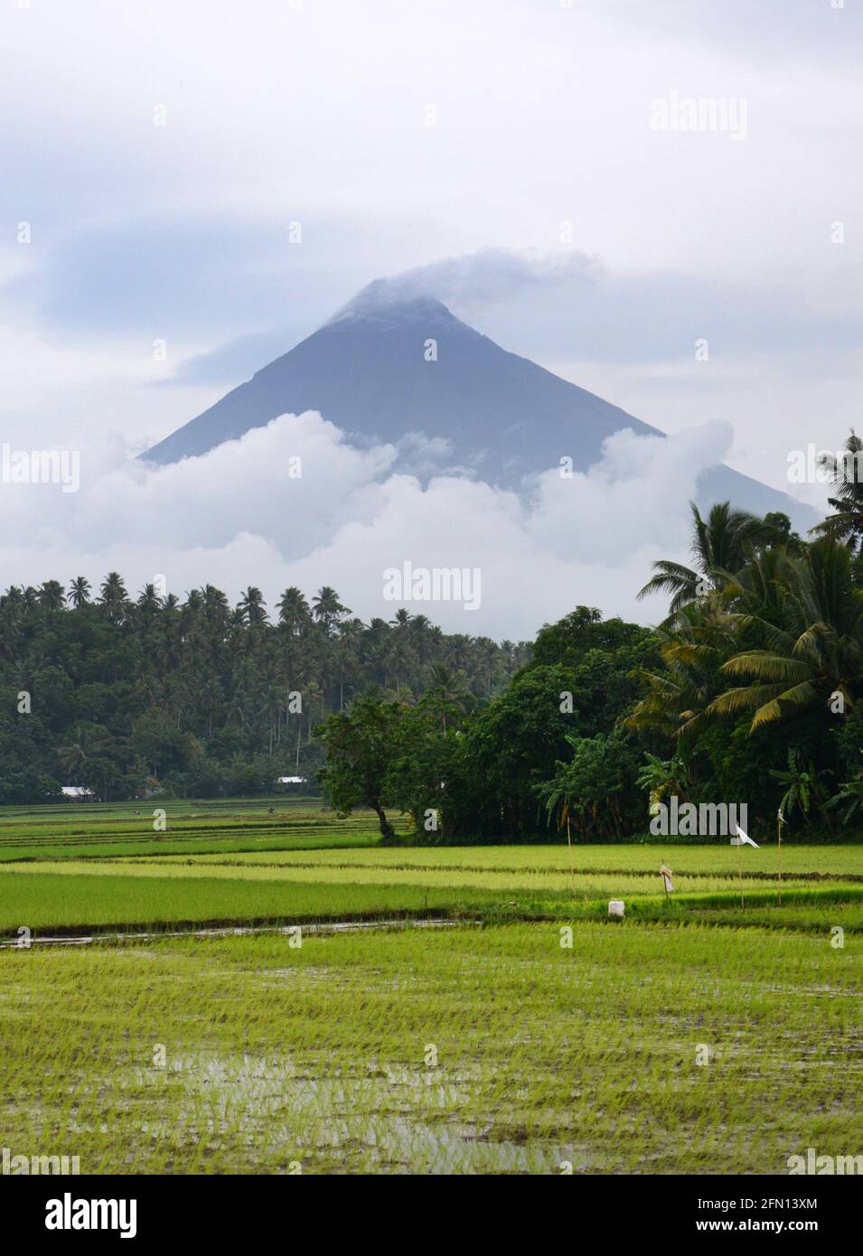The Mayon volcano covered with a beautiful cloud Stock Photo - Alamy