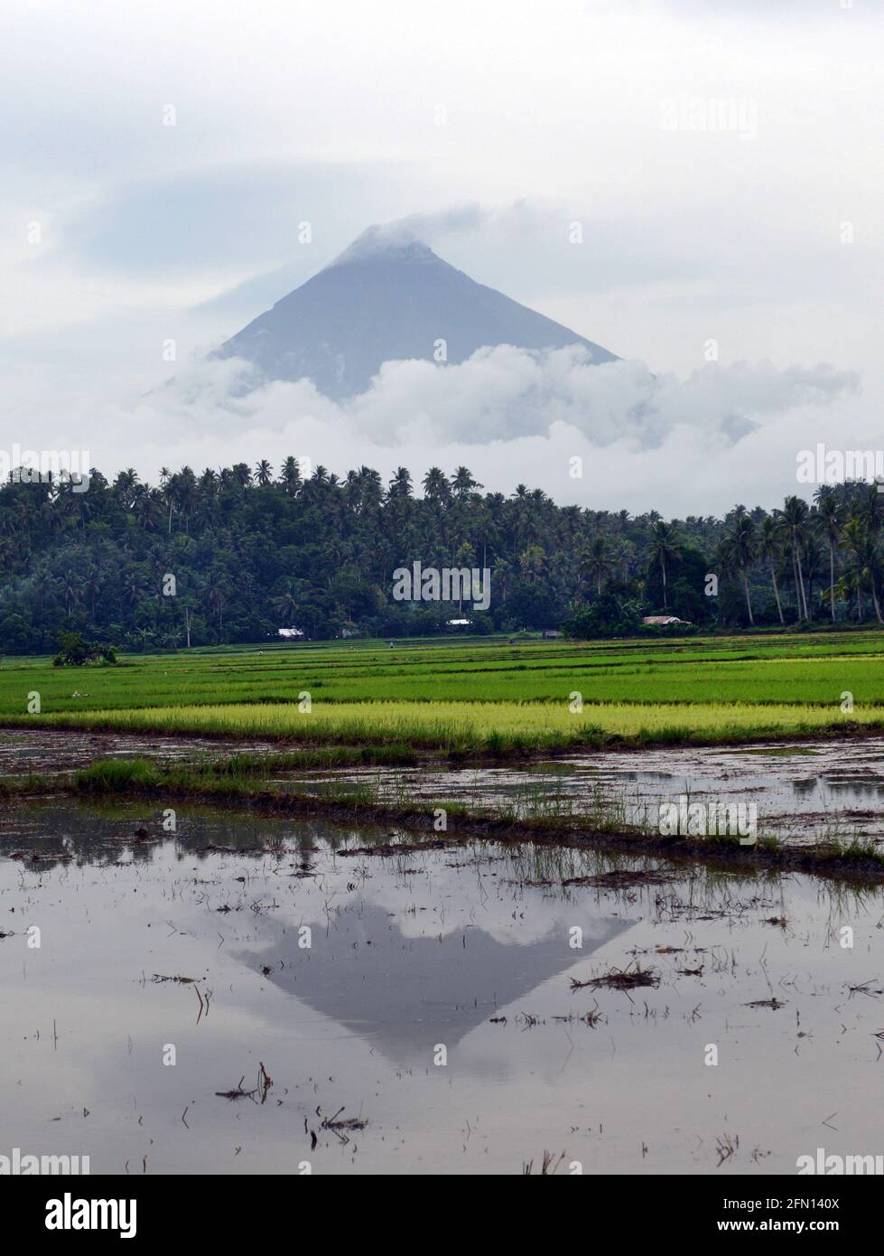 The Mayon volcano covered with a beautiful cloud Stock Photo - Alamy