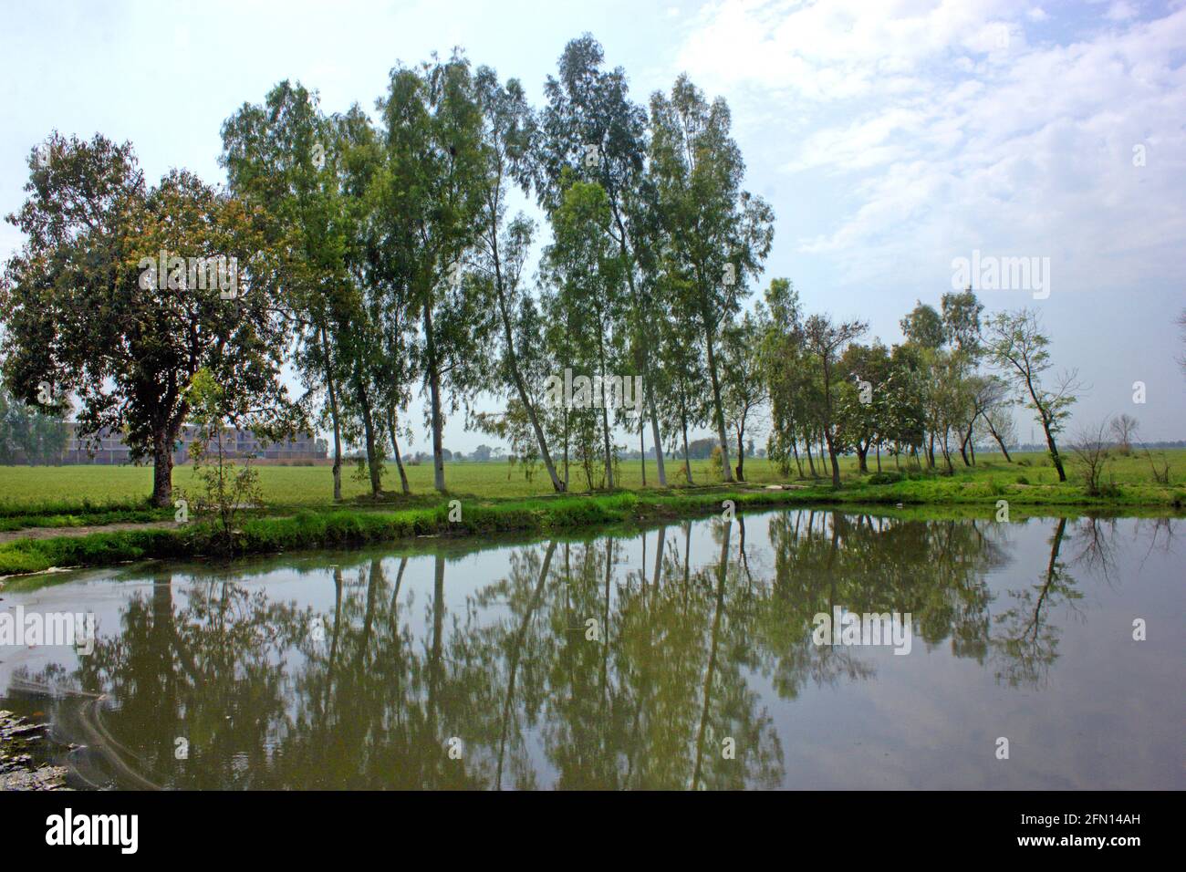 Beautiful landscape with trees and their reflection in the lake Stock ...