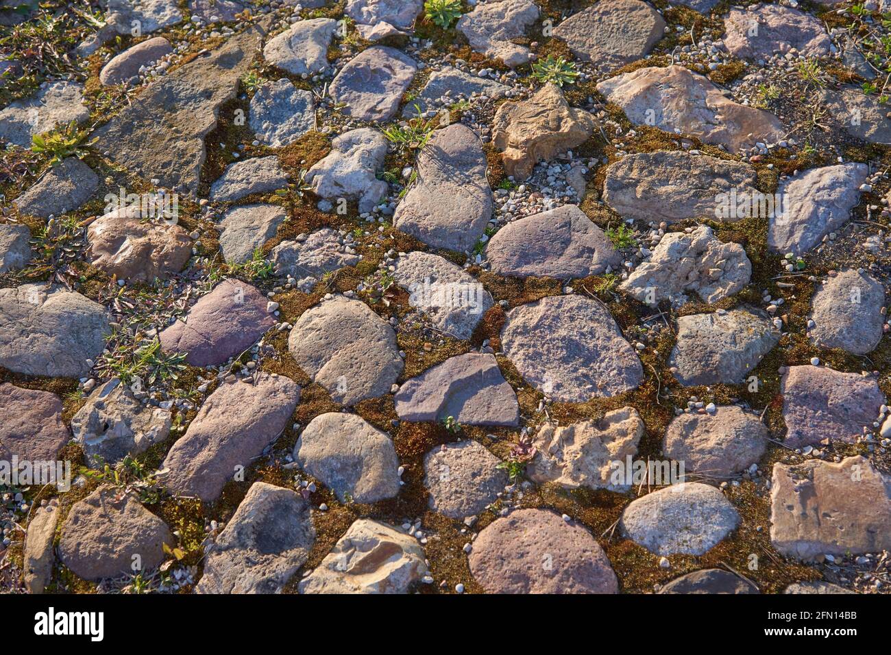 Full frame image of multicolored cobblestone with ground and green moss ...