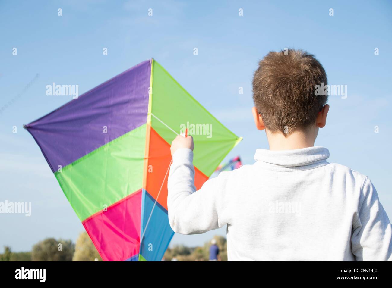 Red kite group hi-res stock photography and images - Alamy