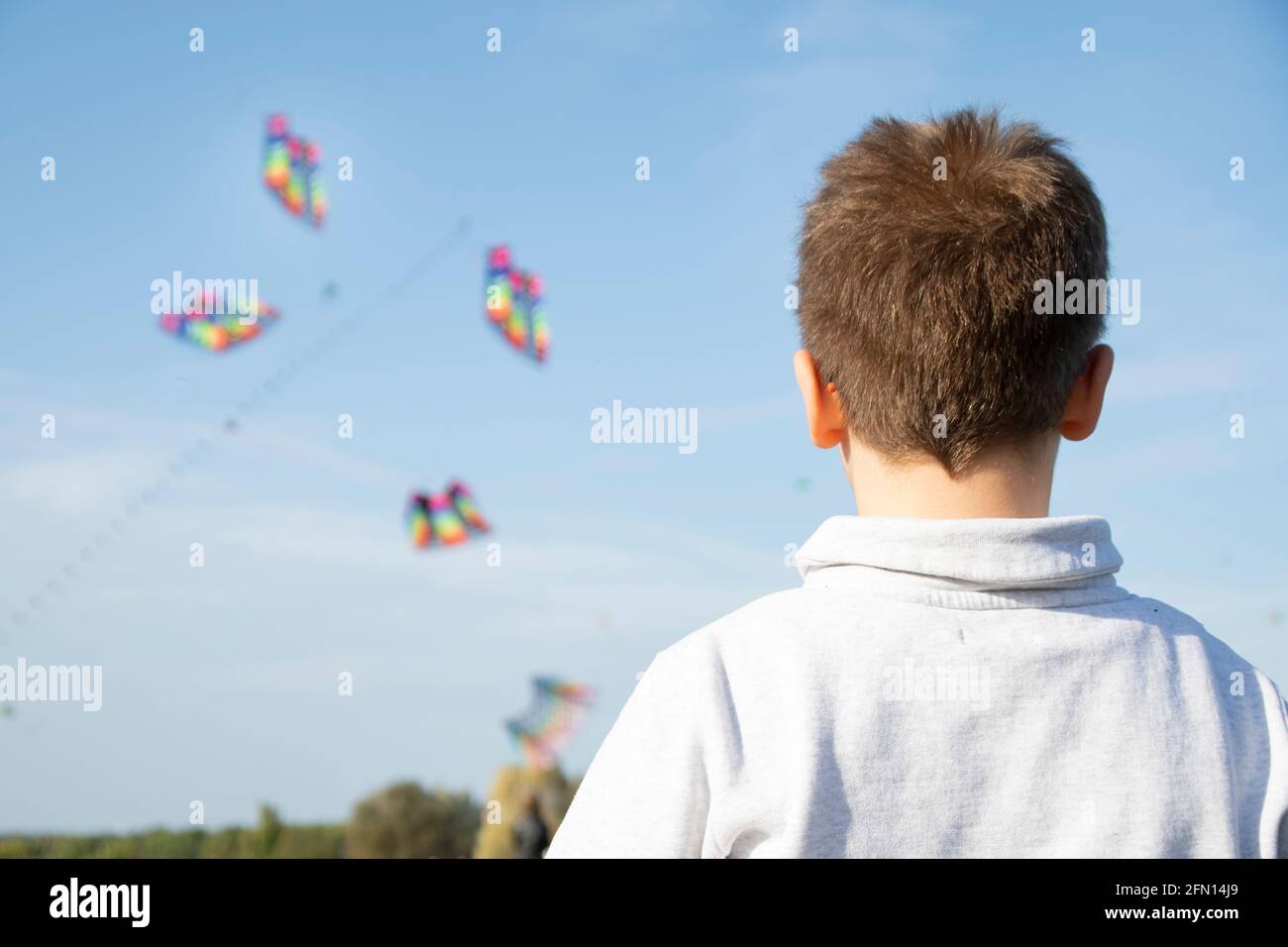 A boy playing and watching flying Kites in blue sky Stock Photo - Alamy