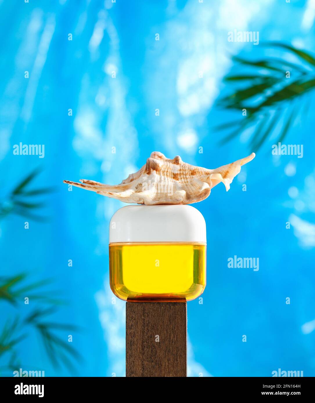 Sunscreen in a jar of seashell. A place to copy the brand name Stock ...