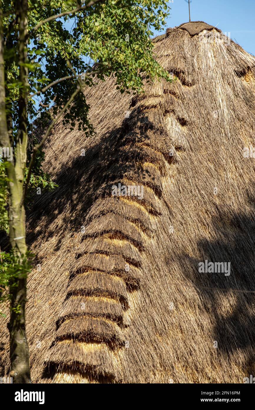 Roof Thatch Reed Traditional High Resolution Stock Photography and ...