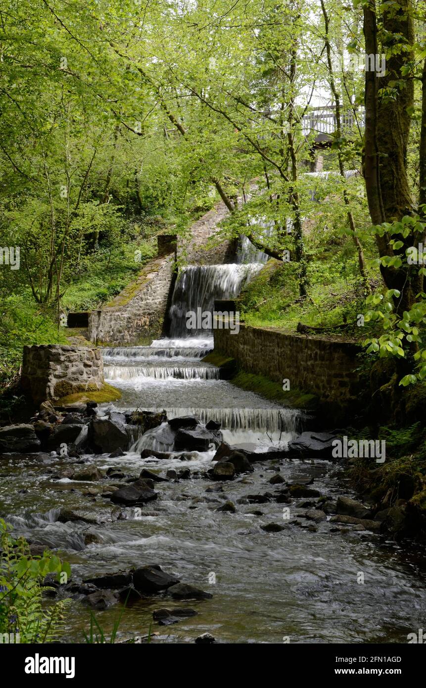 Llyn Mawr Cascade Waun Las National Nature Reserve National Botanical ...