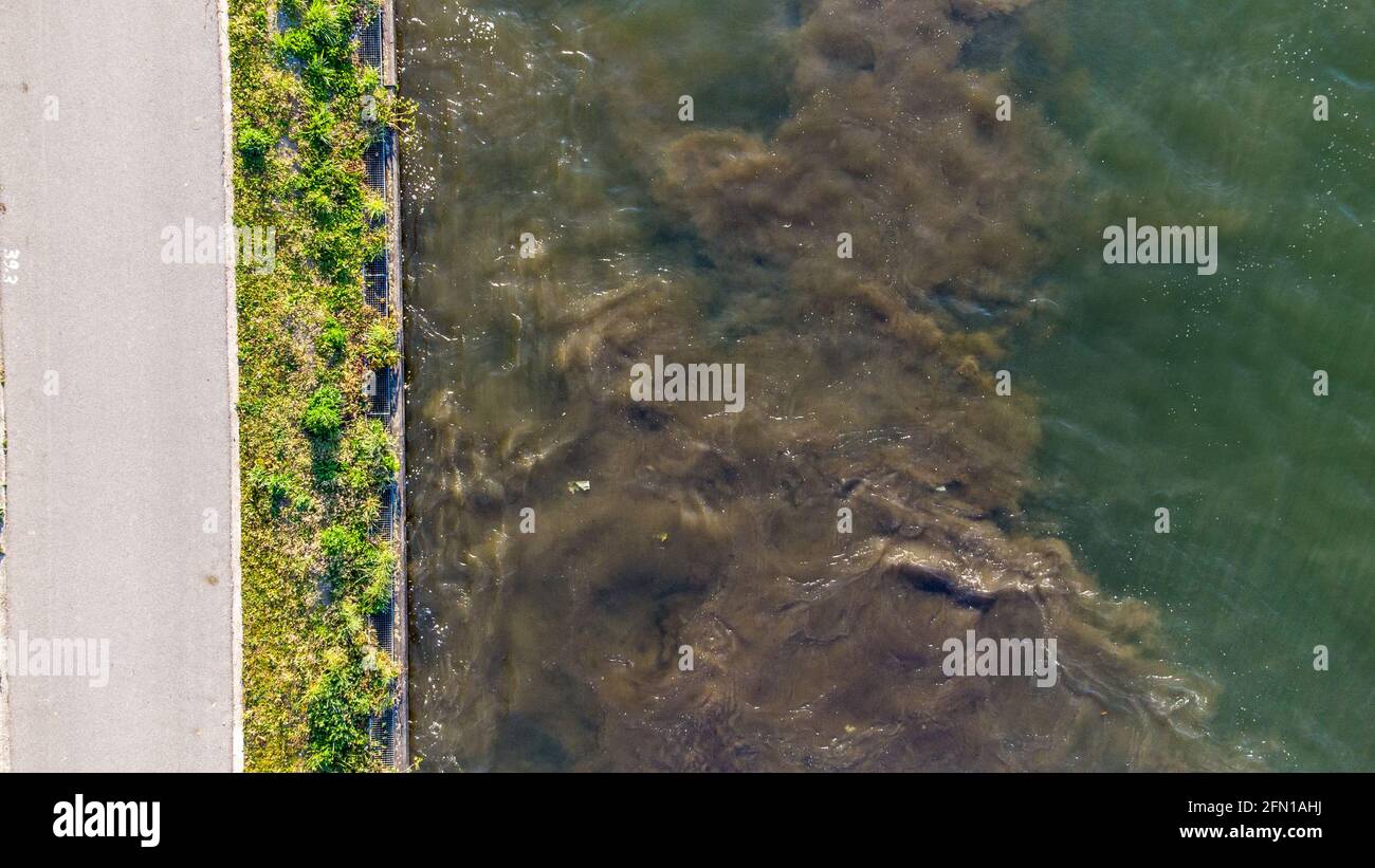 Top down aerial view of riverside meadow on the river bank and the ...