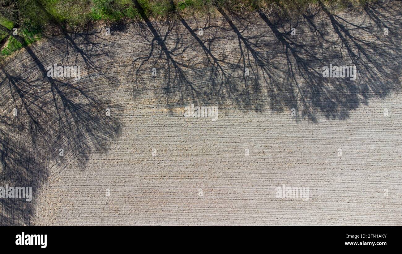 Aerial view geometric farming fields, showing a green meadow and plowed ...