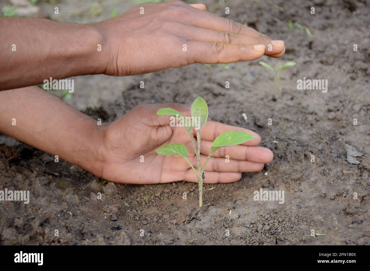 Caring for earth hi-res stock photography and images - Alamy