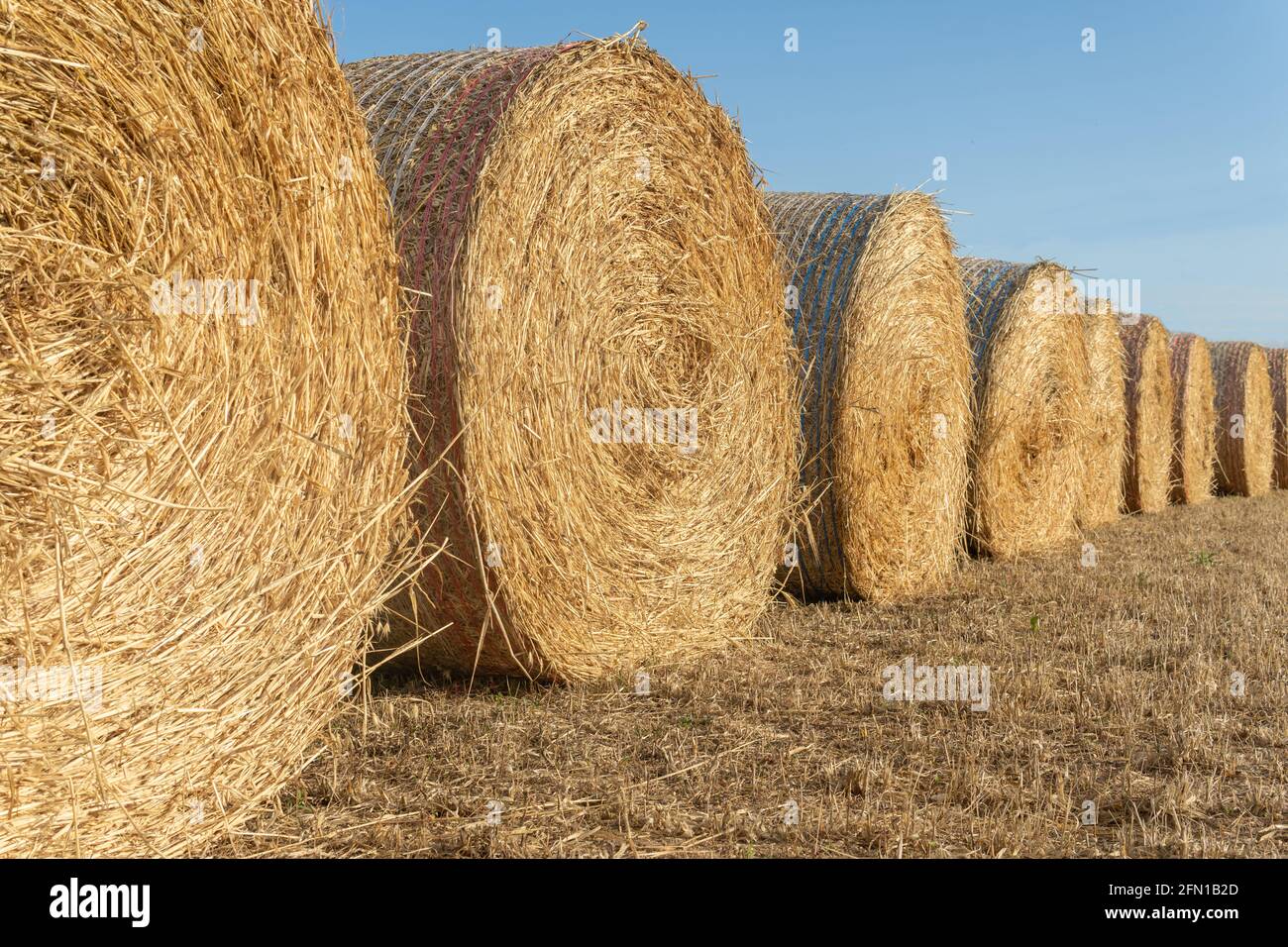 Straw Balls High Resolution Stock Photography and Images - Alamy