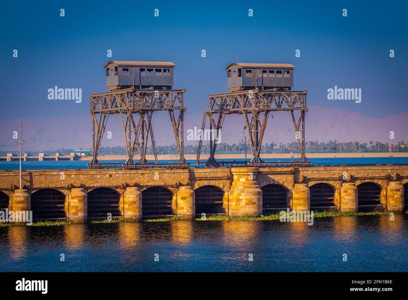 Nile crane hi-res stock photography and images - Alamy