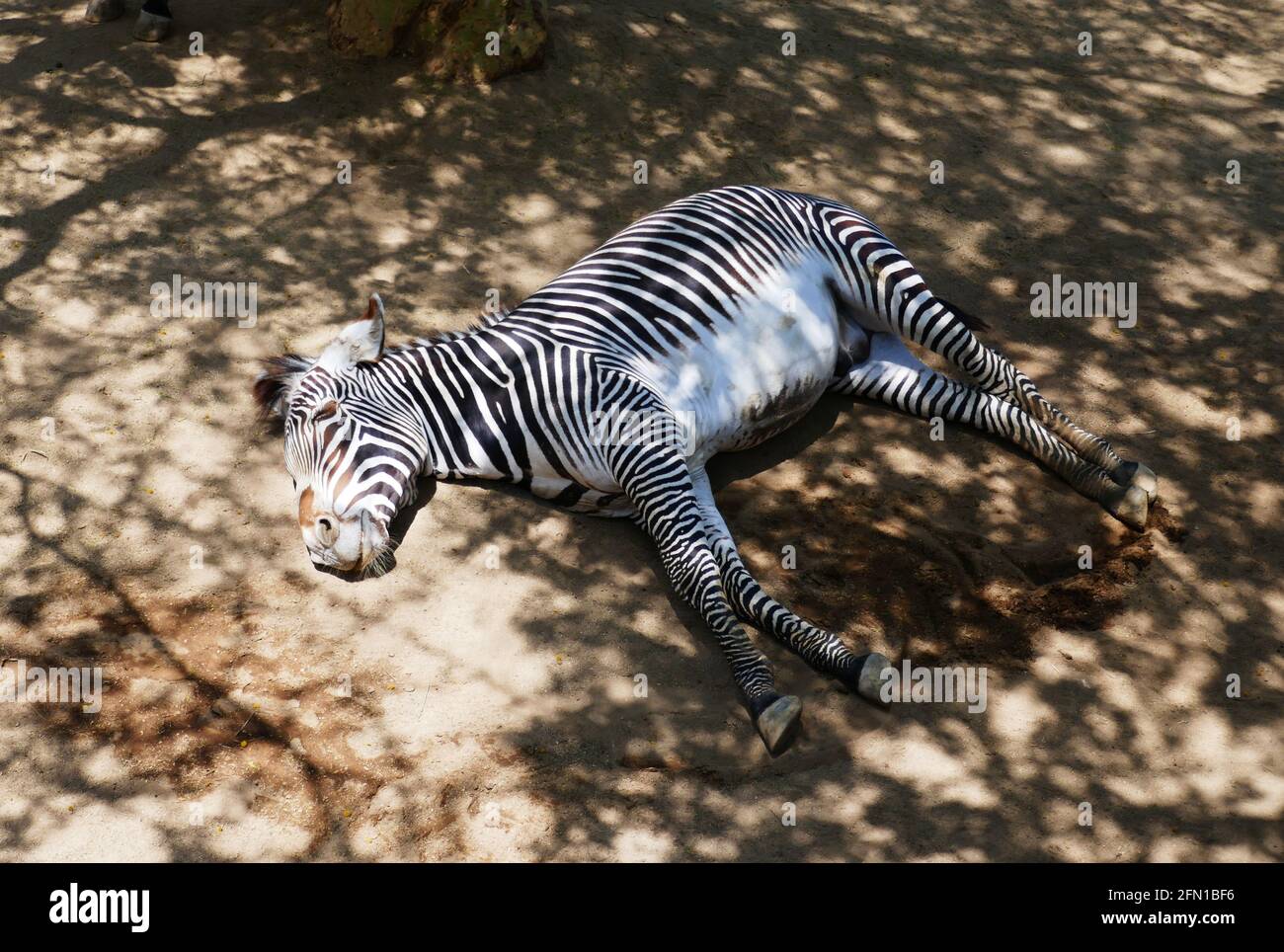 Los Angeles, California, USA 6th May 2021 A general view of atmosphere ...
