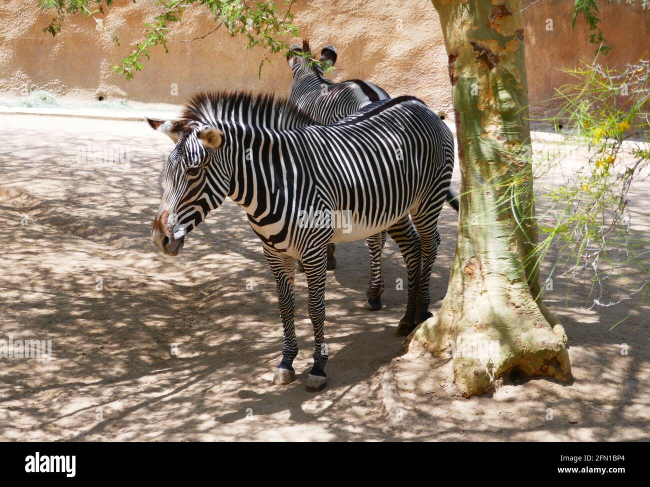 Los Angeles, California, USA 6th May 2021 A general view of atmosphere ...