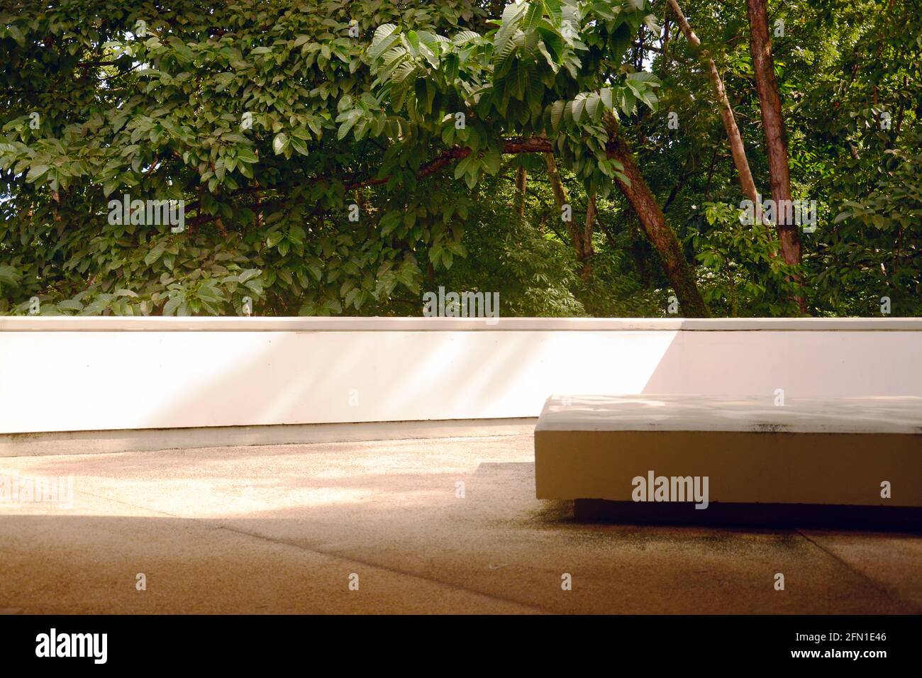 Tall tree in front of a balcony and meditation place Stock Photo - Alamy