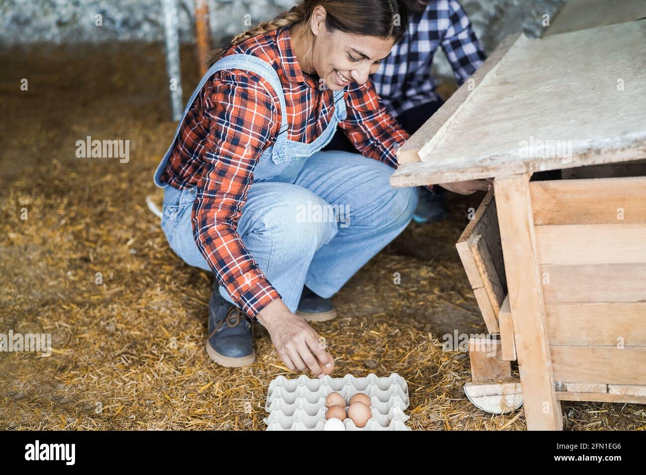 Farmer people picking up organic eggs in henhouse - Focus on woman face ...