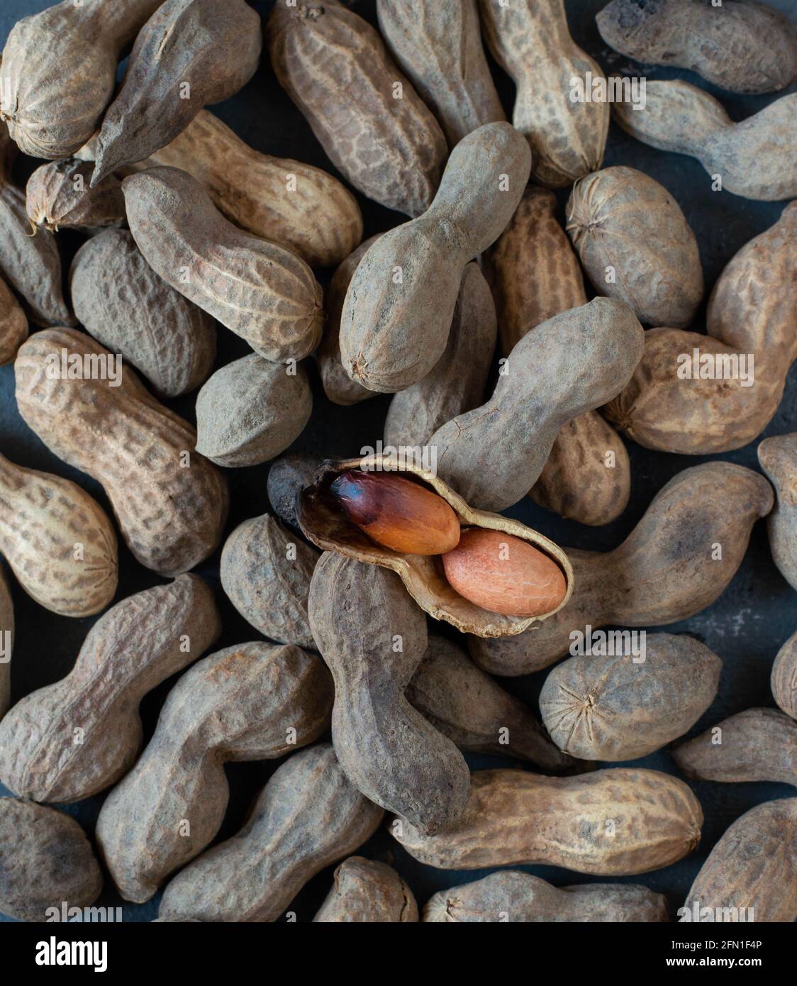 Roasted peanuts, cracked. On a grey background Stock Photo - Alamy