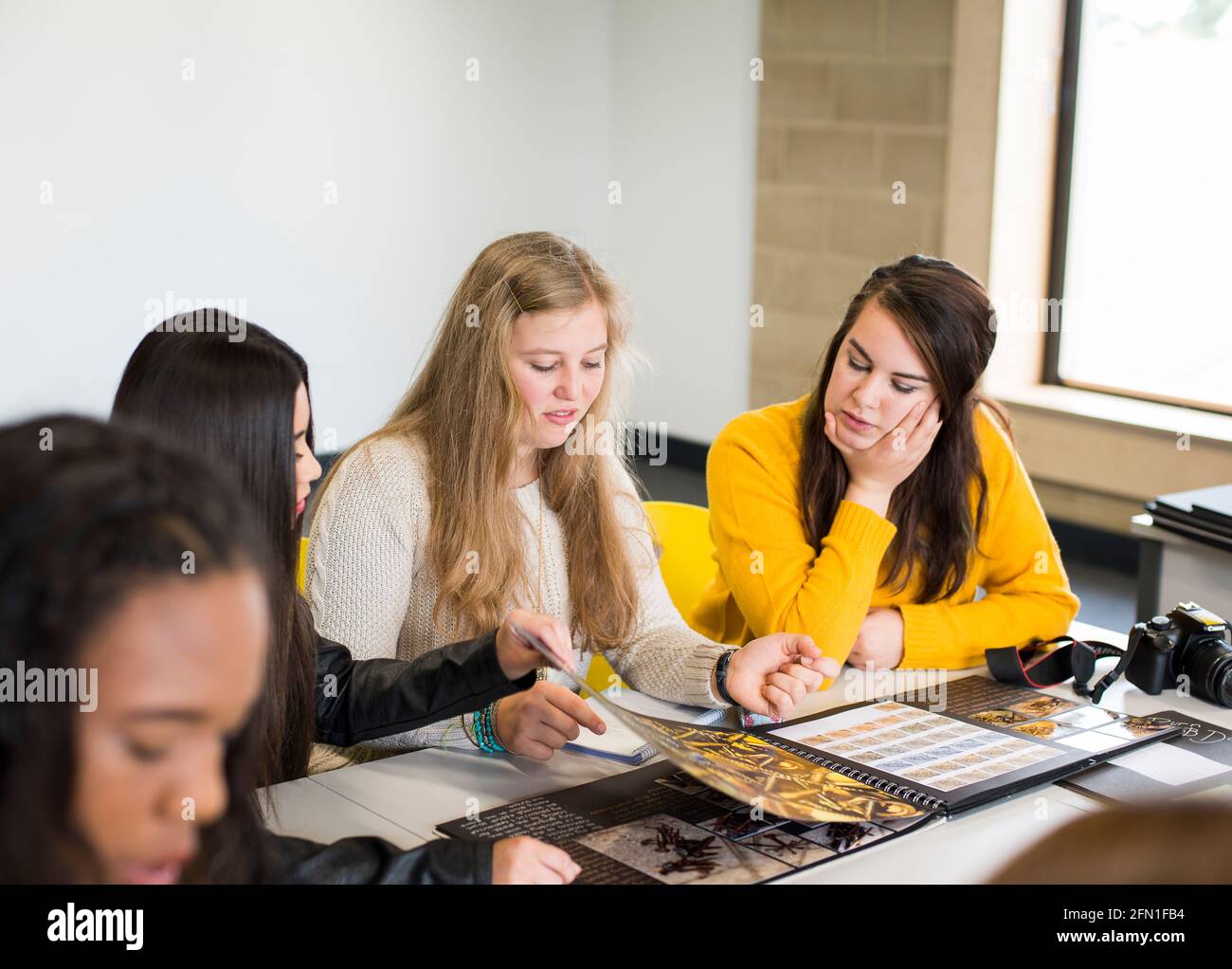 Multicultural sixth form students, young people in education, group of ...