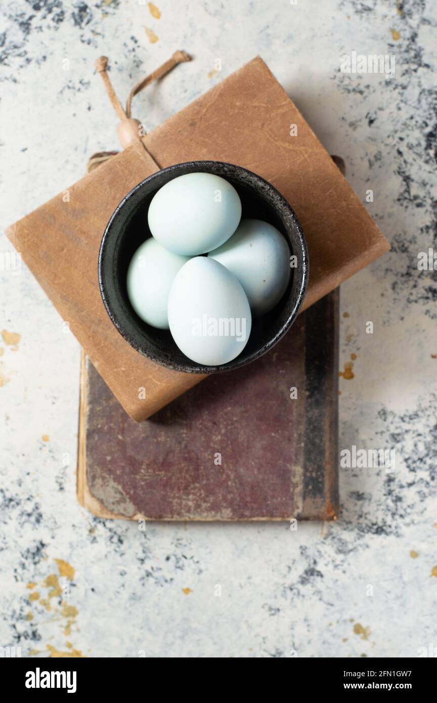 Light blue eggs: from a particular kind of chicken Stock Photo - Alamy