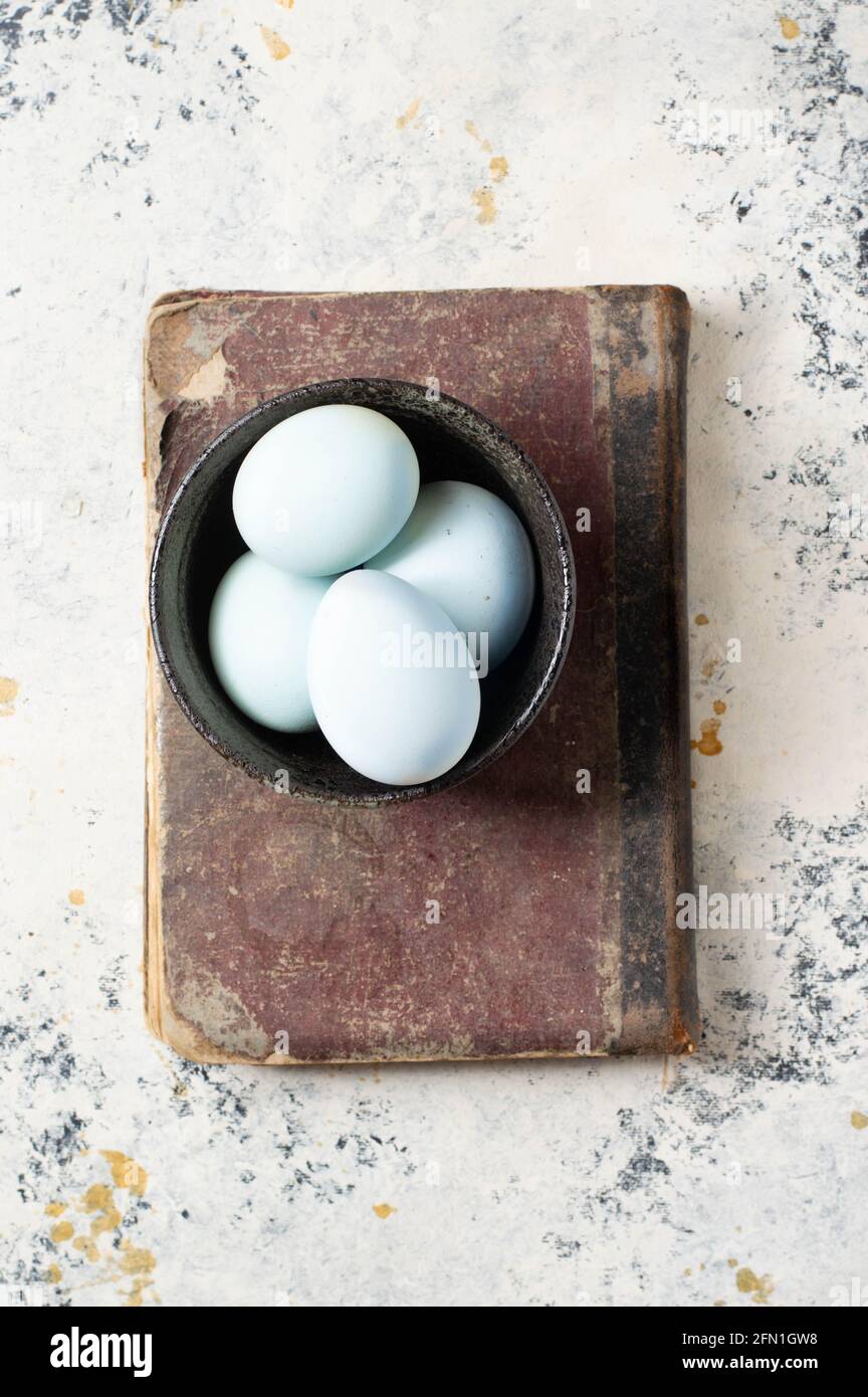Light blue eggs: from a particular kind of chicken Stock Photo - Alamy
