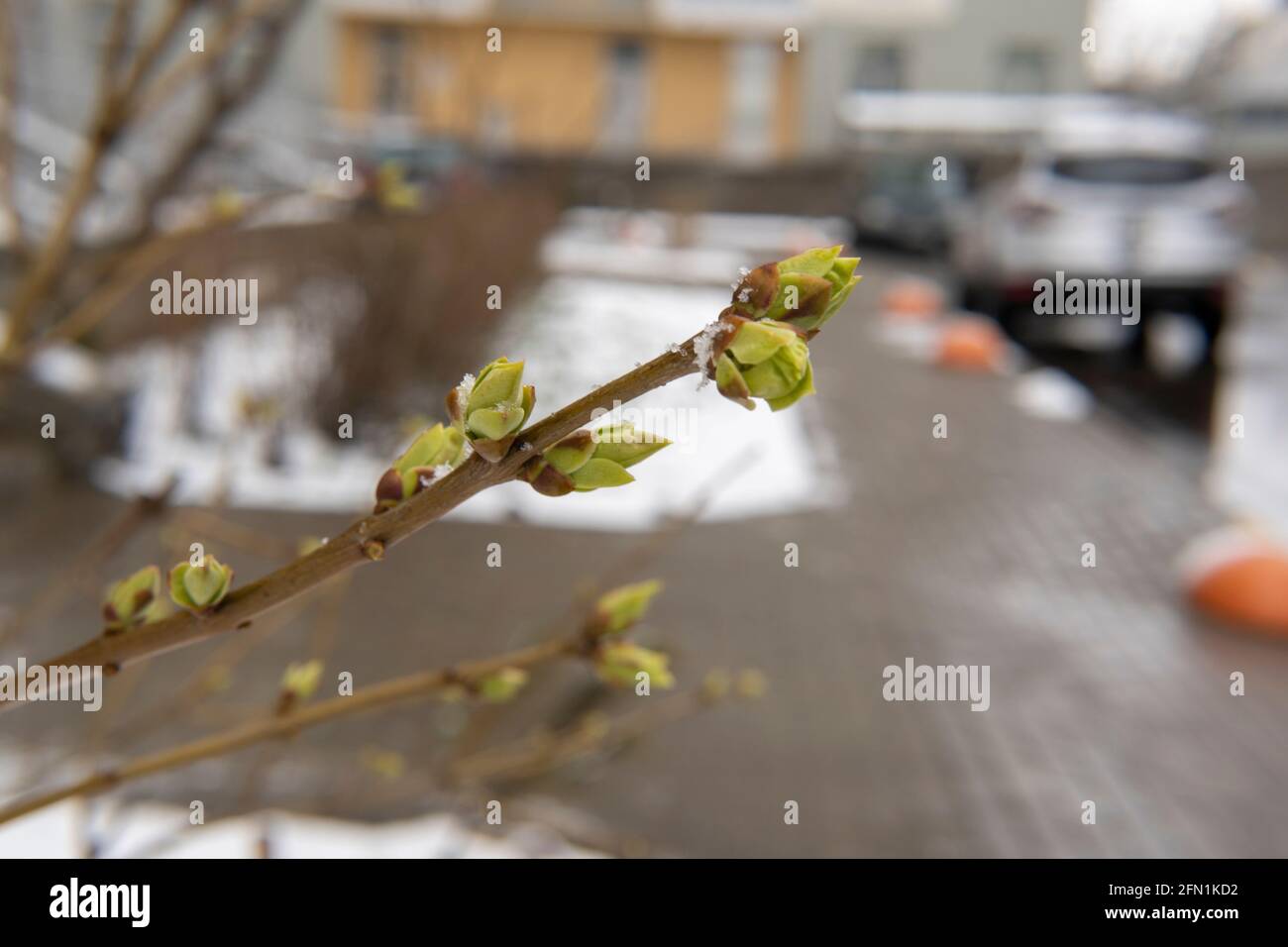 Anomalous spring hi-res stock photography and images - Alamy