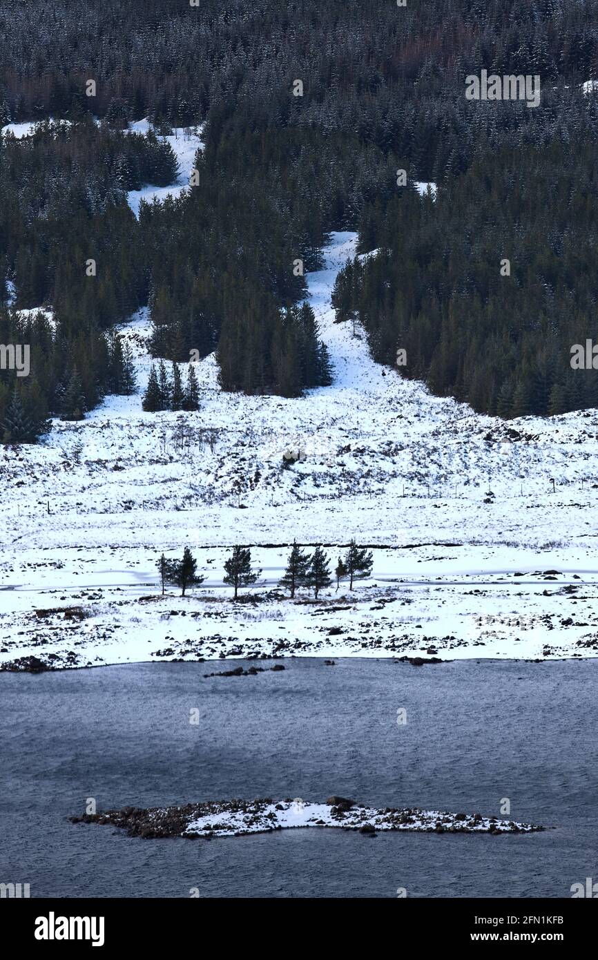 lake and snowy forest on the isle of skye scotland. UK. cold ...