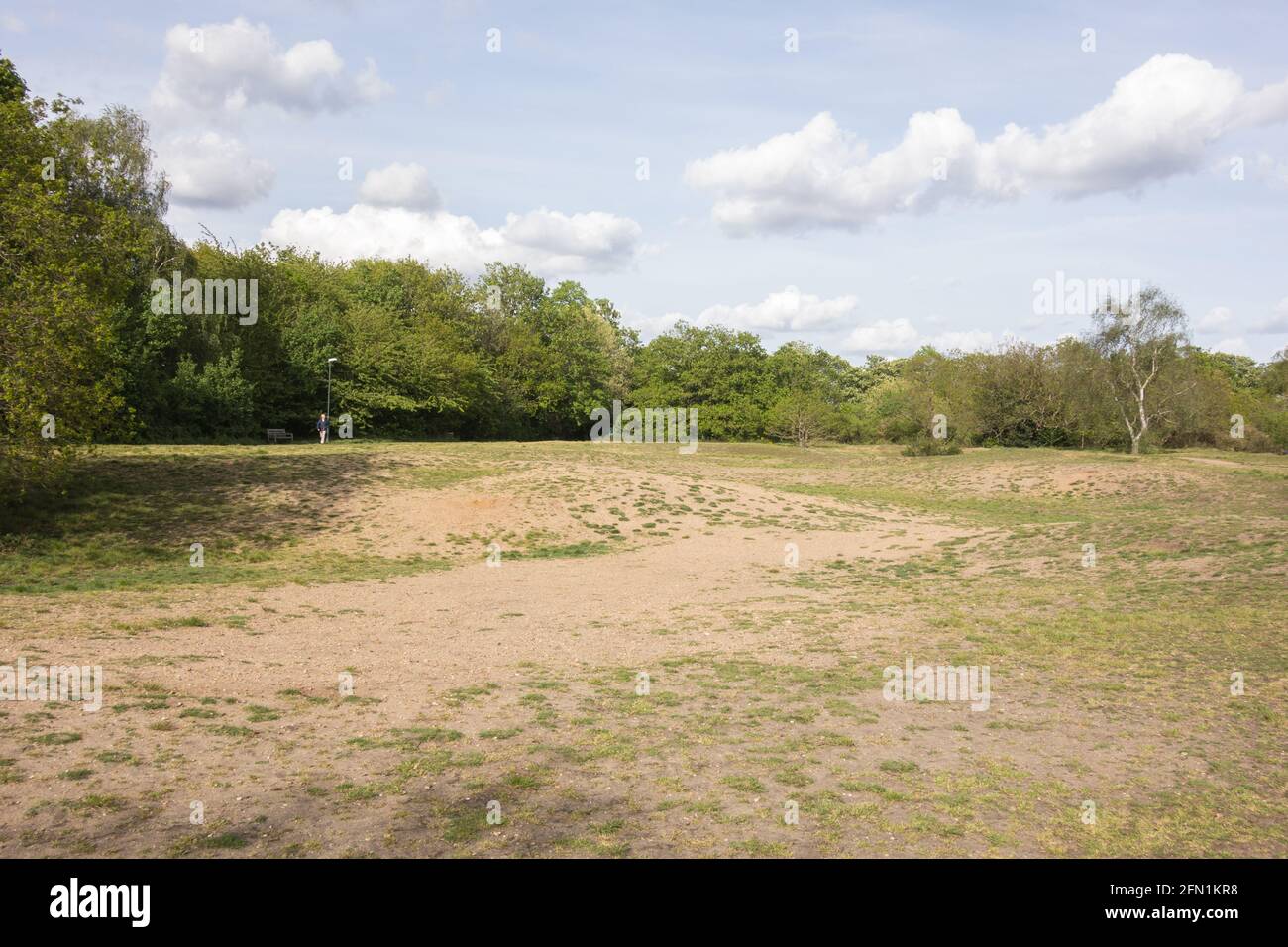 Parched and weathered acid grassland conservation area on Barnes Common ...