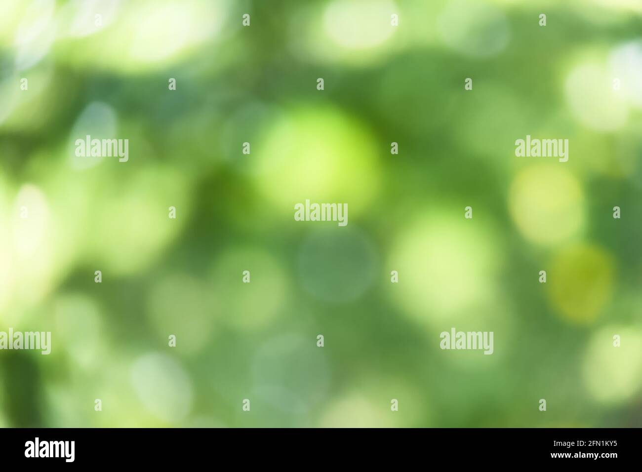 Defocused nature background. Abstract blur nature texture for design ...