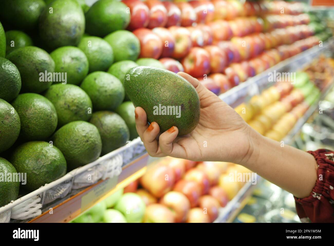 young women hand holding avocado shopping at retail store Stock Photo ...
